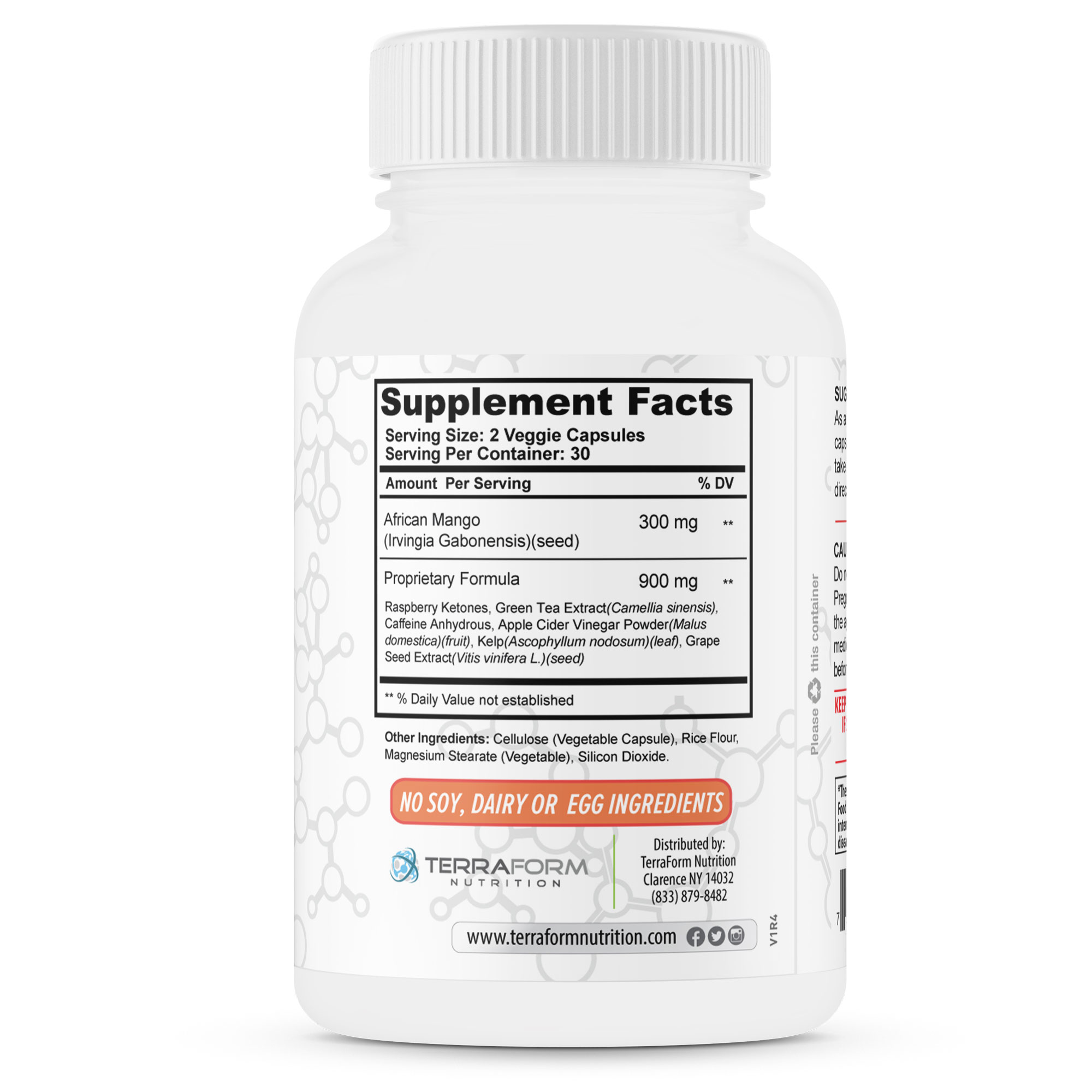 African Mango Complex Diet Pills, 1 Month - TerraForm Nutrition ...