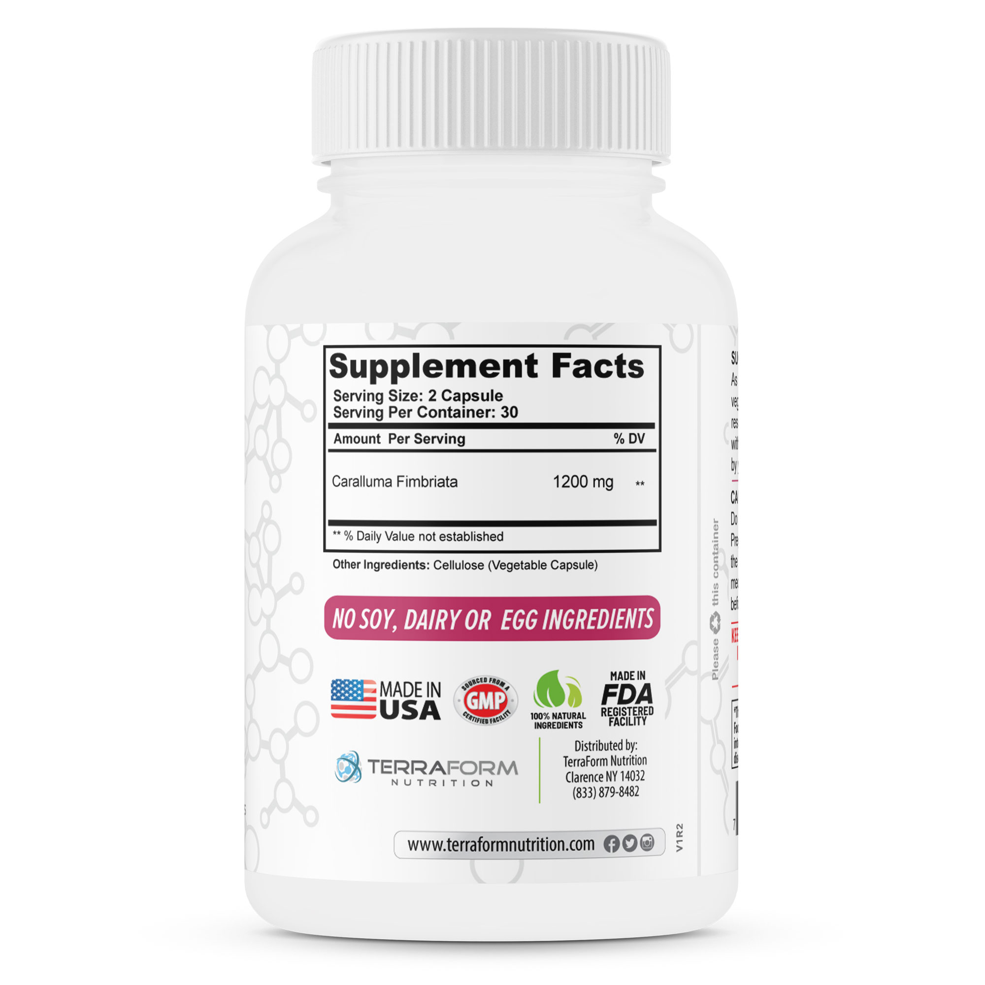Caralluma Fimbriata – 1200mg Serving Max Strength – 30 Servings ...