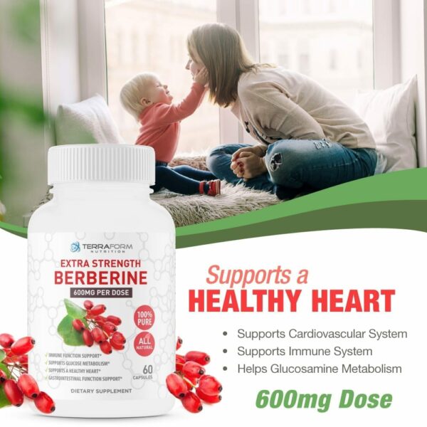Pure Berberine - 1200mg Daily - 1 Month Supply, 60 Capsules ...