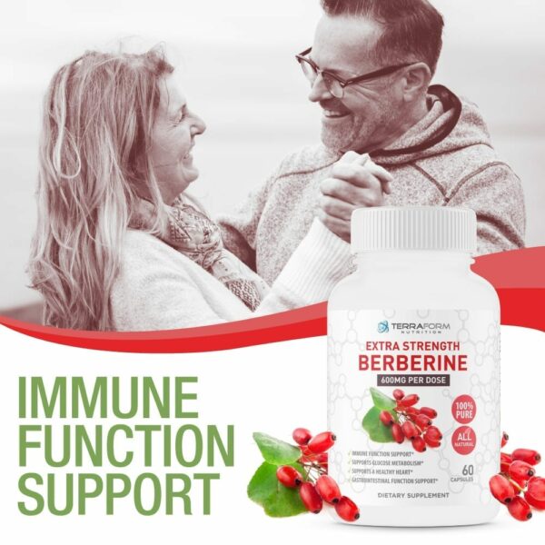 Pure Berberine - 1200mg Daily - 1 Month Supply, 60 Capsules ...