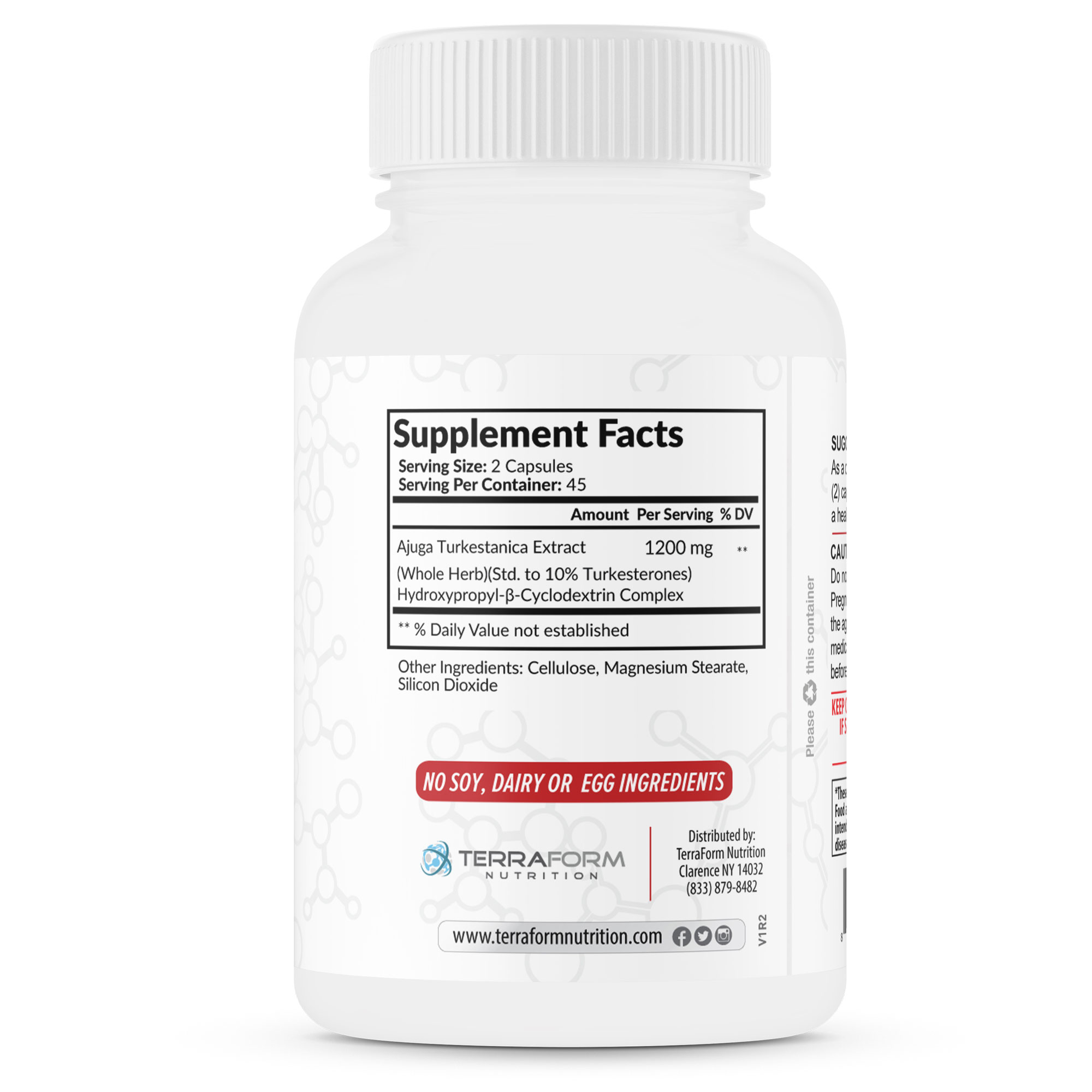 Max Strength Turkesterone 1200mg per Serving - Terraform Nutrition ...